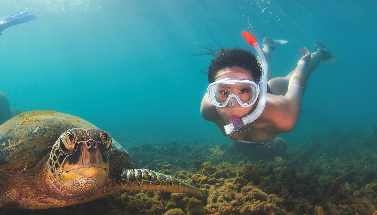 Snorkeling Basics – Snorkeling Beach